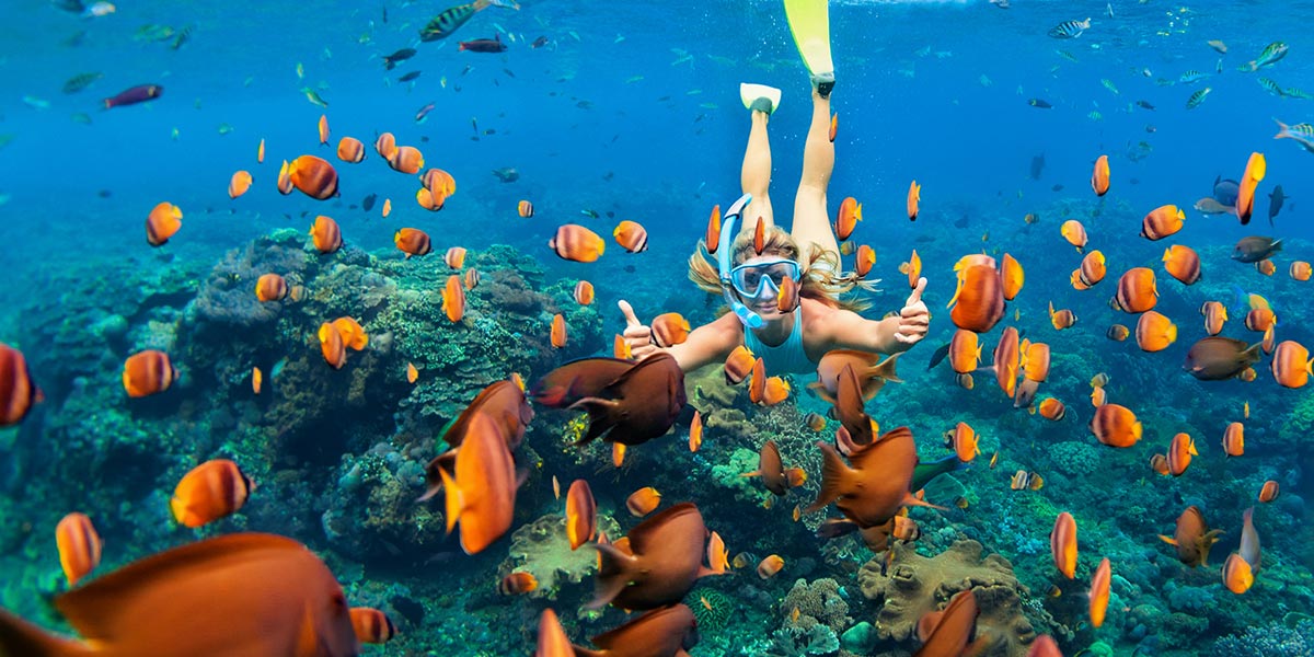 Diving, Snorkeling & Scuba Diving | Experience Sri Lanka with Amex NTB